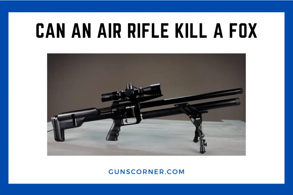 Can an Air Rifle Kill a Fox: Examining Effectiveness and Legal ...