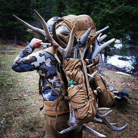 15 Best Hunting Packs for Elk Hunting: Frame Packs, Meat Haulers ...
