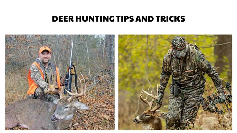 Deer Hunting Tips and Tricks: Practical Field Strategies for Safer ...