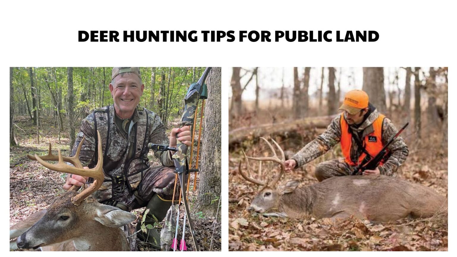 Deer Hunting Tips for Public Land: Smart Scouting, Access, Wind, and ...