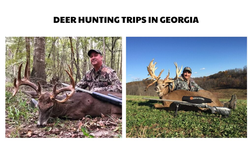 Deer Hunting Trips in Georgia: Legal Planning, Public Land, Outfitters ...