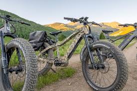 15 Best Hunting E-Bike Options for Quiet All-Terrain Access